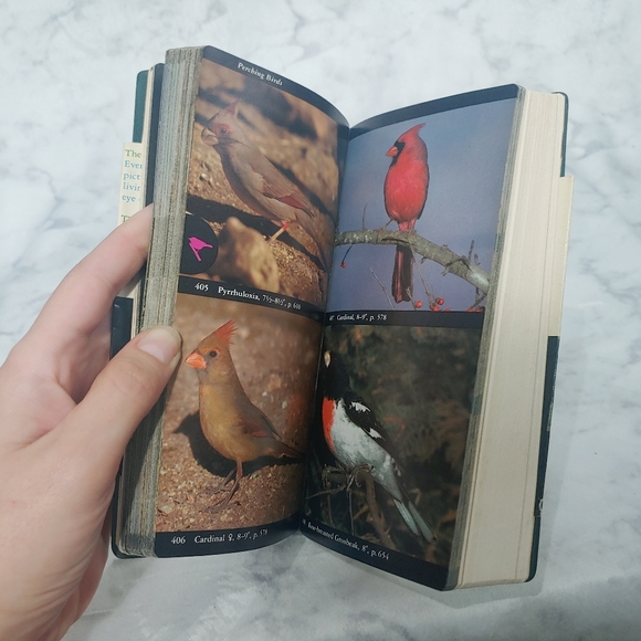 Vintage | Accents | Vintage Bird Field Guide | Poshmark